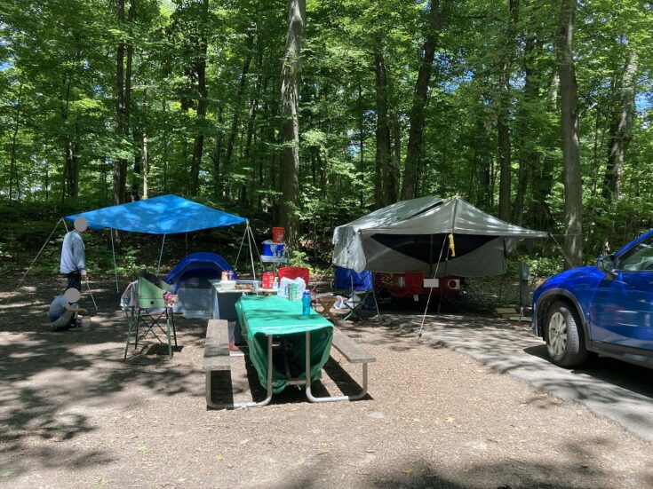 Guide to Wellesley Island State Park - Discover New York's North Country